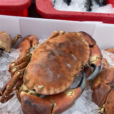 This Is So Beautiful With Our Brilliant Holly Billing As Soloist