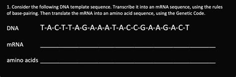 Solved Consider The Following Dna Template Sequence Transcribe It Into An Mrna Sequence Using