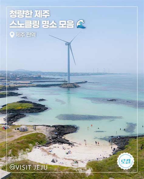 제주관광공사 조용히 다가오는 여름 지금 저장해두면 좋은 제주 스노클링 명소 총정리 🌊 맑고 투명한 Facebook