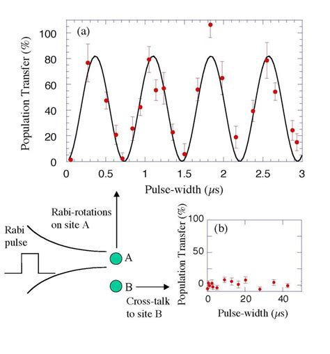Color Online Fast Rabi Rotations On One Site With Negligible Download Scientific Diagram