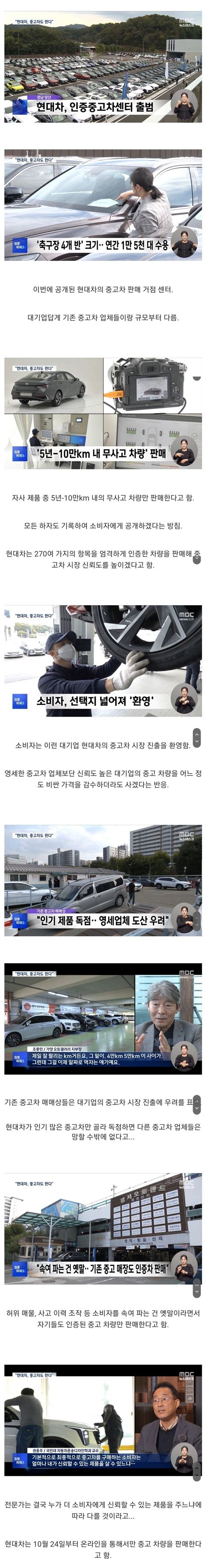 현대차 중고차도 판다 유머 움짤 이슈 에펨코리아
