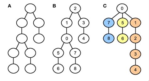 A Yet Unnumbered Tree Shaped Graph Representing The Connectivity Of Download Scientific