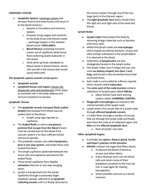 Lymphatic System Pdf Lymphatic System Lymph Node