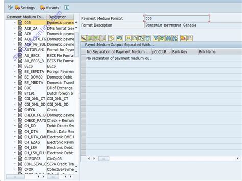Obpm4 Sap Tcode For Payment Medium Selection Variants