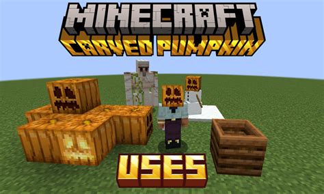 Top 5 Uses Of Carved Pumpkins In Minecraft Beebom