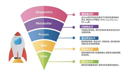 干货第一弹！多组学联合分析之代谢组faq compound discovery代谢组学中80个样本 csdn博客