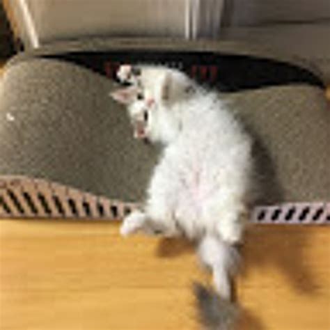 Stream Dd Music Listen To Songs Albums Playlists For Free On Soundcloud