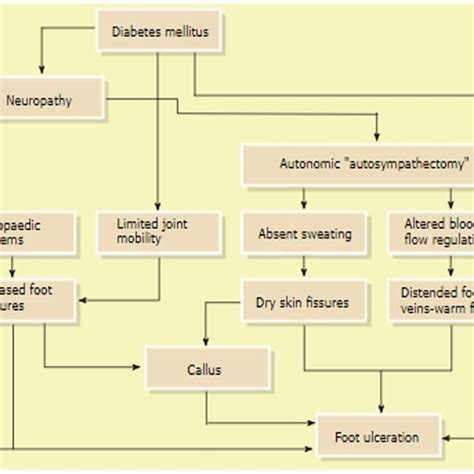 Algorithm For Determining Aetiology Of Wound With Permission From