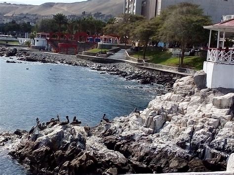 Los 10 Mejores Hoteles En Ilo Con Precios Desde S 50 Tripadvisor