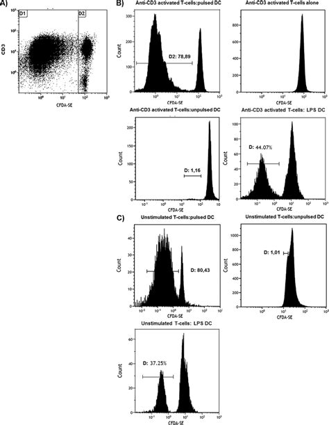 CFSE Assay For Assessment Of T Cell Function The Day Response Of Download Scientific Diagram