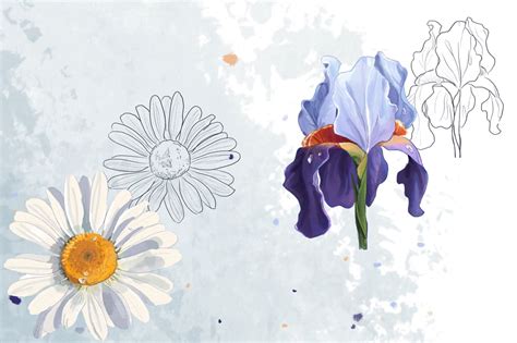 十朵花邮票procreate笔刷 BRUSHSET 云瑞设计