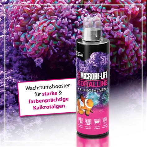 Microbe Lift Coralline Internetový Obchod Olibetta