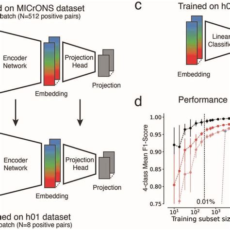 Cell Type Classification Of Large And Small Cell Fragments Via