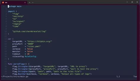 Vandan R On Linkedin Lua Neovim Cybersecurity Programming