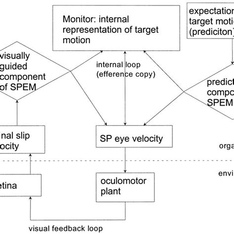 Scheme Of Internally Generated Predictive And Externally Triggered