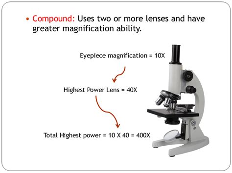 The Microscope