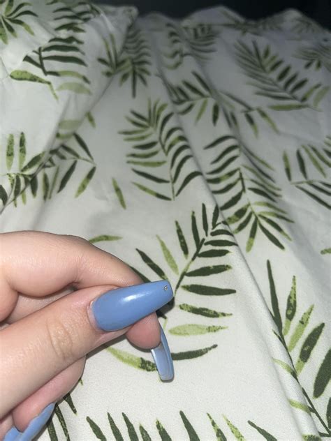 Is This Even A Bug Corpse Or Am I Freaking Out Rwhatbugisthis