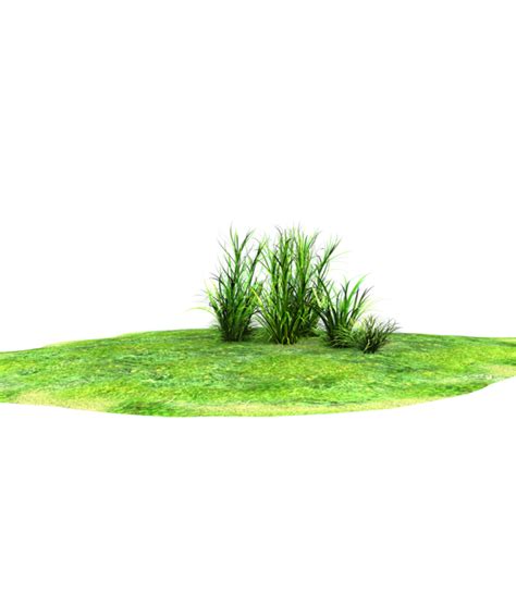 Grass Patches Clipart 20 Free Cliparts Download Images On Clipground 2025