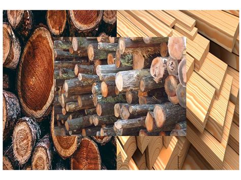 Difference Between Wood And Timber Kpstructuresin