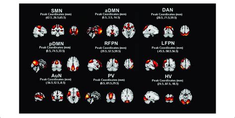 Resting State Functional Networks Identified By Ica We Identified