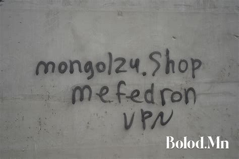 Фото сурвалжлага Тархин доторх хог оо хаа хамаагүй сийчих нь бидний амьдарч байгаа нийгмийг