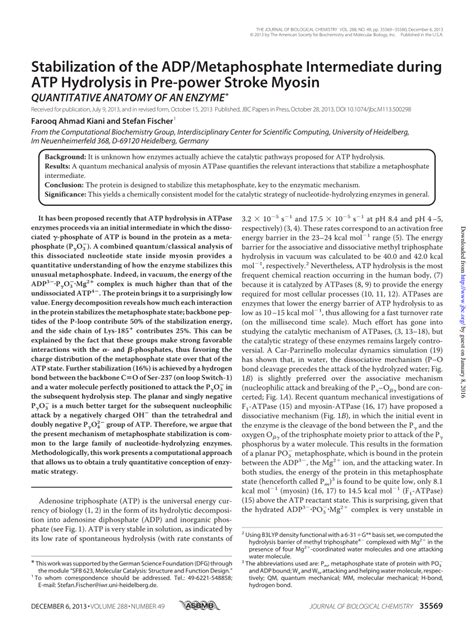 Pdf Stabilization Of The Adpmetaphosphate Intermediate During Atp