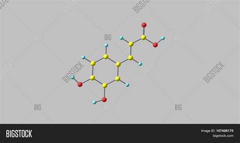 Caffeic Acid Organic Image And Photo Free Trial Bigstock