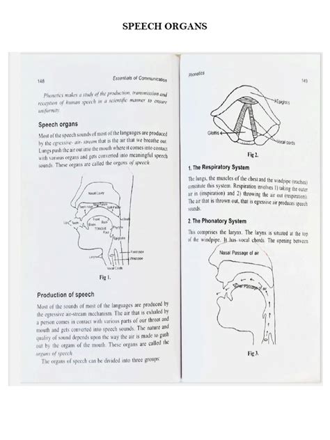 Phonetics Notes Unit Ii Iv Pdf Human Voice Phonetics