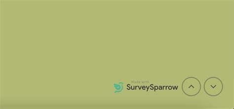 Css To Modify The Size Of The Navigation Buttons Css Knowledge Bonanza 🕺