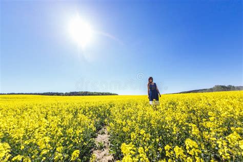 Красивая девушка в поле рапса Стоковое Фото изображение насчитывающей привлекательностей