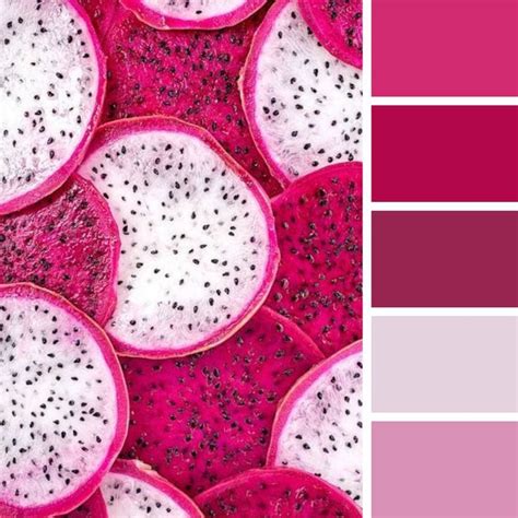 Dragon Fruit Color Palette En 2025 Palette Couleur Fruit Du Dragon