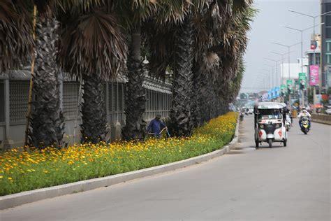 មង្គលការកូនស្រី លោក អ៊ាង សុផល្លែត ចំណាយកម្លាំងដាំផ្កាស្បៃរឿង១លានទង រួមទាំងរៀបចំសួនបន្លែ