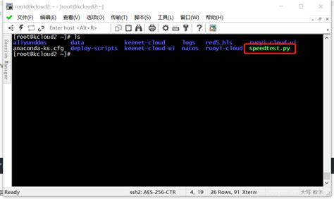 centos8 测试网速（speedtest py） csdn博客