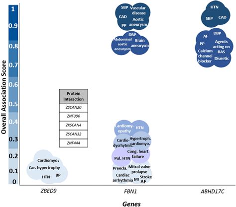 Prioritize Targets By Evidence Of Gene Disease Overall Association Download Scientific Diagram