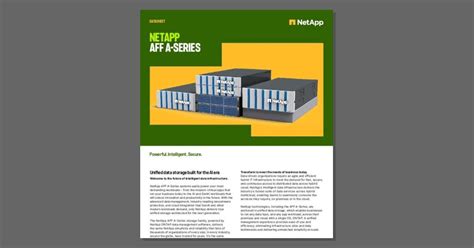 Netapp Aff A Series Advanced Technical Solutions Llc