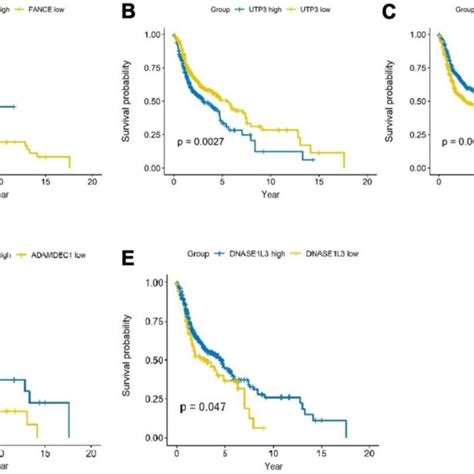 The Running Result Of The Random Forest Model A The Random Forest Download Scientific