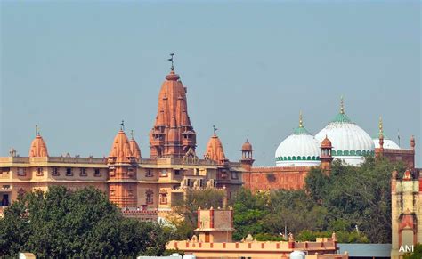 Gyanvapi Mosque Survey Explained How Experts Will Determine If Gyanvapi Mosque Was Built On A
