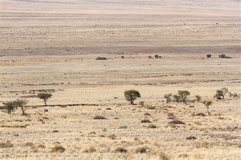 Steppe Steppenlandschaften Fotos Bild Impressionen
