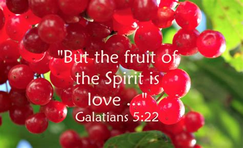 The Fruit Of The Spirit Is Love Detroit Chinatown