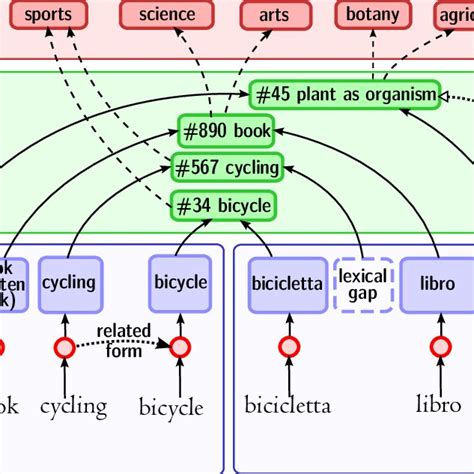 Example English And Italian Lexical Databases With The Interlingua