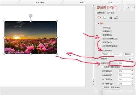 在PPT中怎么制作透明度递减的图片效果 PPT制作透明度递减图片教程分享 PPT 教程之家