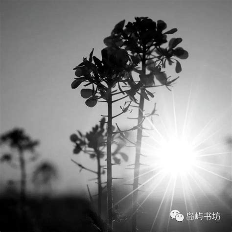 价值观不能讨论，只能认同 基本 问题 个人