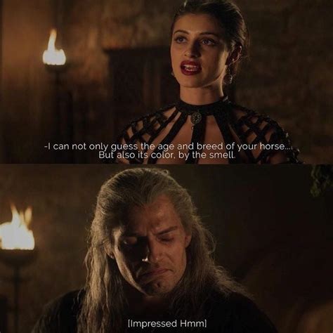 Some Witcher Memes R Netflixwitcher