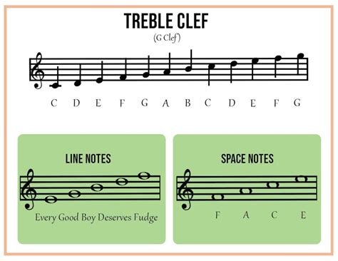 Treble Clef And Bass Clef Notes Digital Download High Quality Pdf Etsy