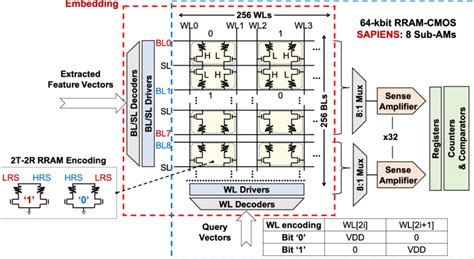 Sapiens Architecture Data Encoding And Dataflow Feature Vector Download Scientific Diagram