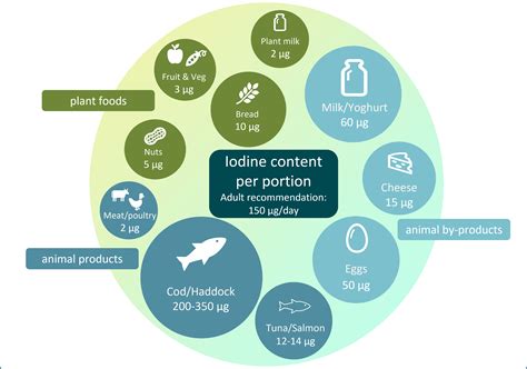 Nutritional Iodine Status And Obesity At Marilyn Pierre Blog