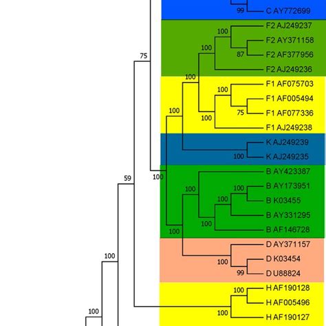The Modified Bootstrap Consensus Tree For Figure 2 Based On 100