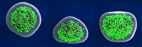 Dynamic Particle Coupling For Gpu Based Fluid Simulations Cg