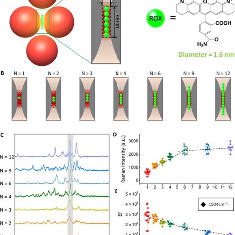Quantized Single Molecule Sers A Schematic Of The Tetrameric Download Scientific Diagram