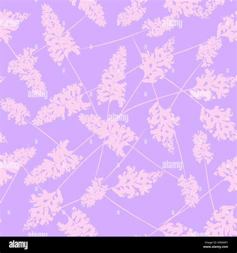 Seamless Pattern With Sage Stock Photo Alamy